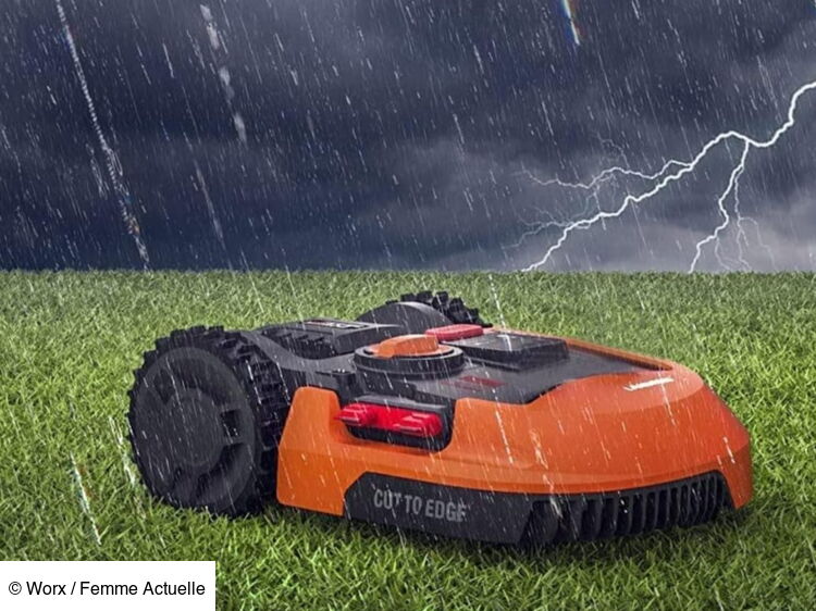 Voici le robot tondeuse connecté à -27% chez Amazon qui s'occupera de ...