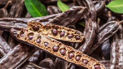 Caroube : quels sont ses bienfaits et comment l'utiliser ? : Femme ...