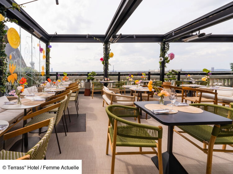 Terrass'' Hotel : découvrez son rooftop avec une vue imprenable sur la ...