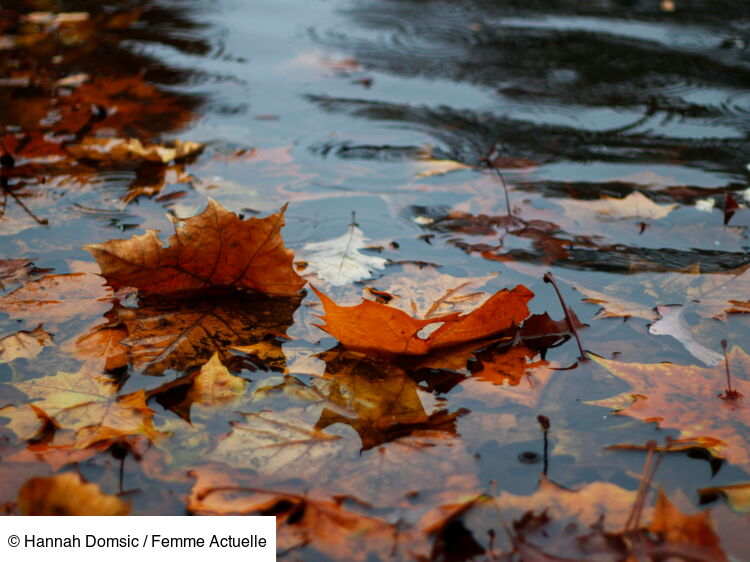 Les nappes phréatiques sont-elles remplies ? Découvrez où en sont les ...