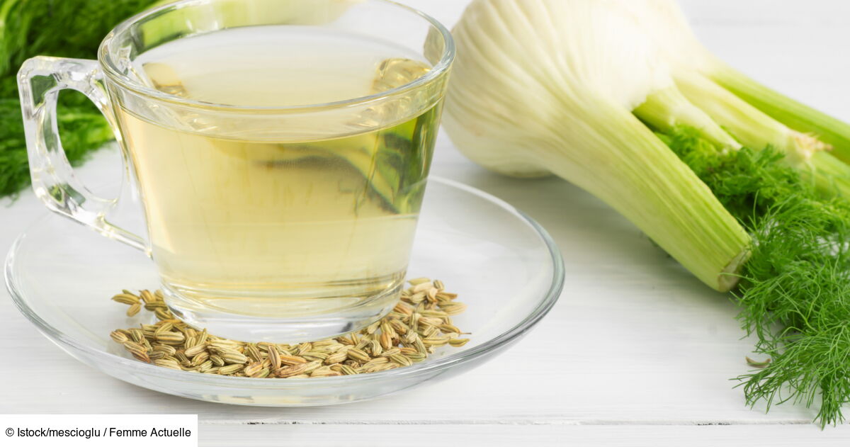 Tisanes de fenouil : quels bienfaits et contre-indications ? : Femme ...