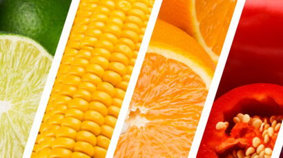 Baies rouges : quels sont les bienfaits santé de ces fruits ...