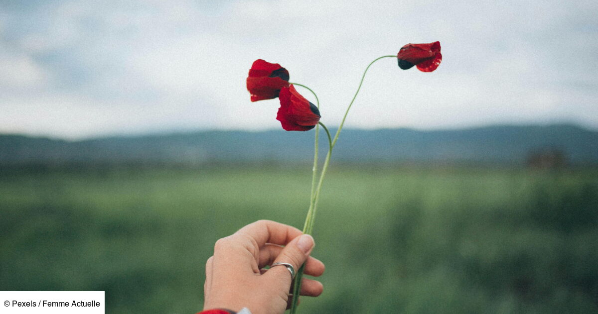 Coquelicot : quels sont les bienfaits santé de cette plante et comment la consommer ? : Femme ...
