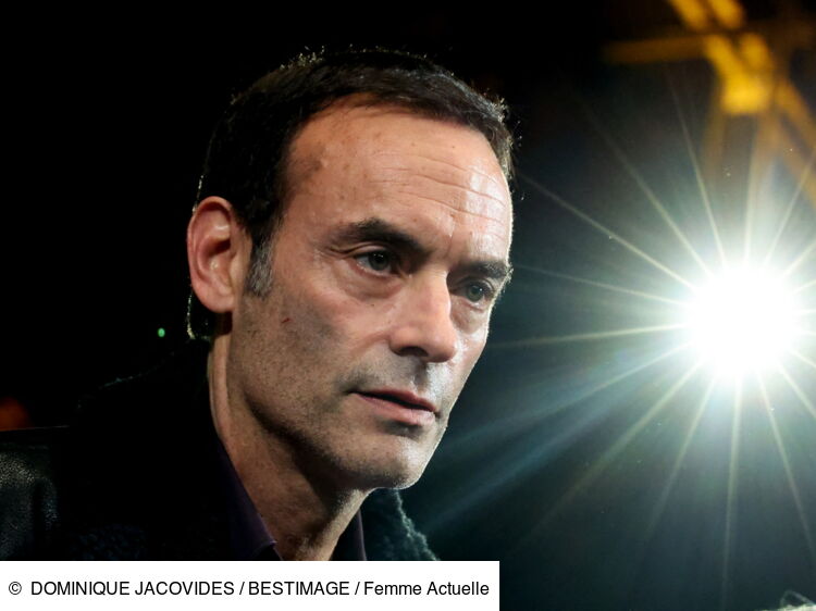 "J’apporterai des preuves" : Anthony Delon dément les rumeurs autour de ...