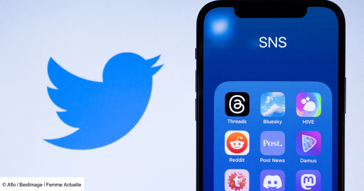 Comment fonctionne le réseau social Bluesky, l’alternative à X (ex ...