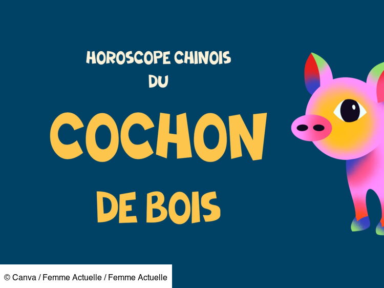 Horoscope chinois du jour du mercredi 17 mai 2023, le Cochon de Bois : Femme Actuelle Le MAG