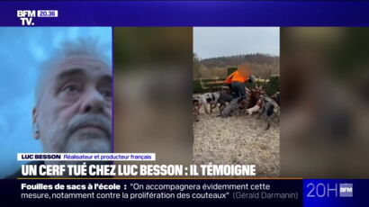 "Ils ont massacré l’animal à trois mètres de ma mère" : la colère de ...