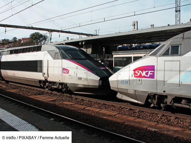 Carte fidélité SNCF : quels avantages à partir de 60 ans ? : Femme ...