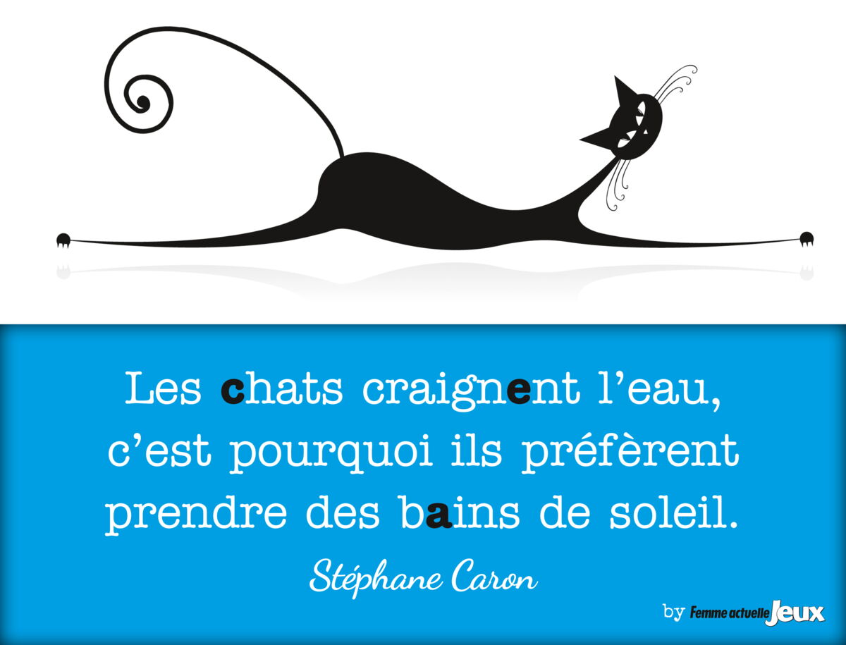 Citations sur les chats à partager - Femme Actuelle