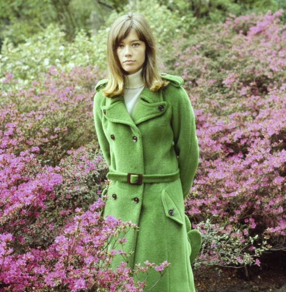 Françoise Hardy : son évolution au fil des ans en images - Femme Actuelle