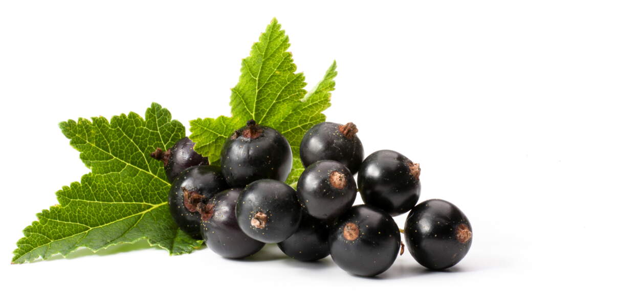 Les plantes qui soignent - Femme Actuelle