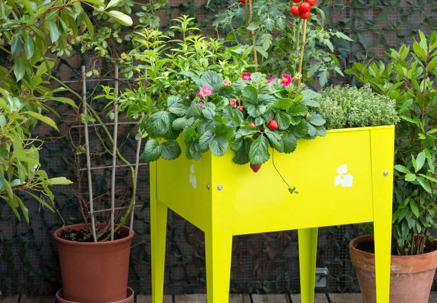 Balcons, terrasses et jardins : le meilleur de l'aménagement d ...