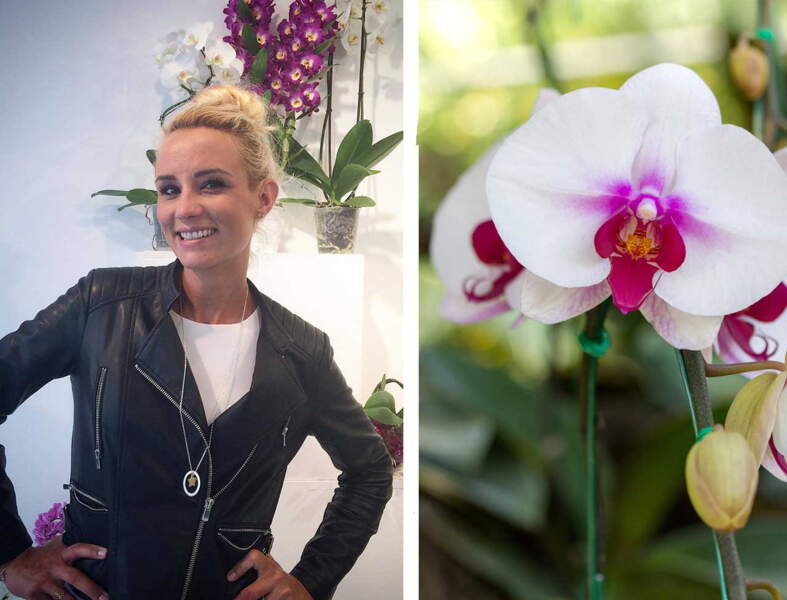 Orchidée : tout ce qu'il faut savoir sur cette fleur - Femme Actuelle
