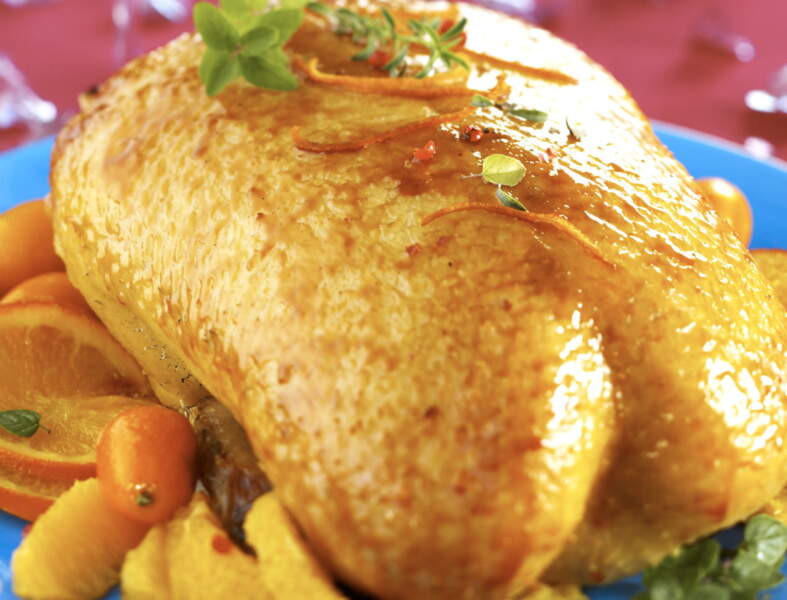 Nos meilleures recettes de canette - Femme Actuelle