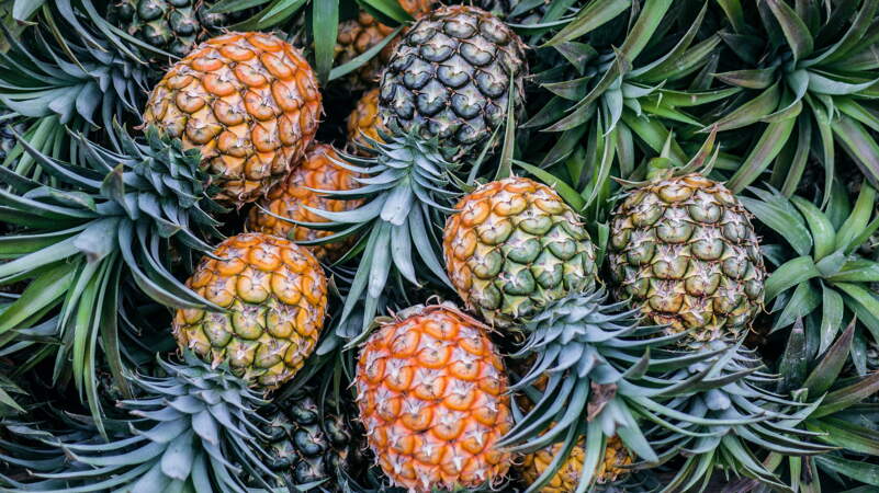 10 fruits brûle-graisses à consommer sans modération - Femme Actuelle