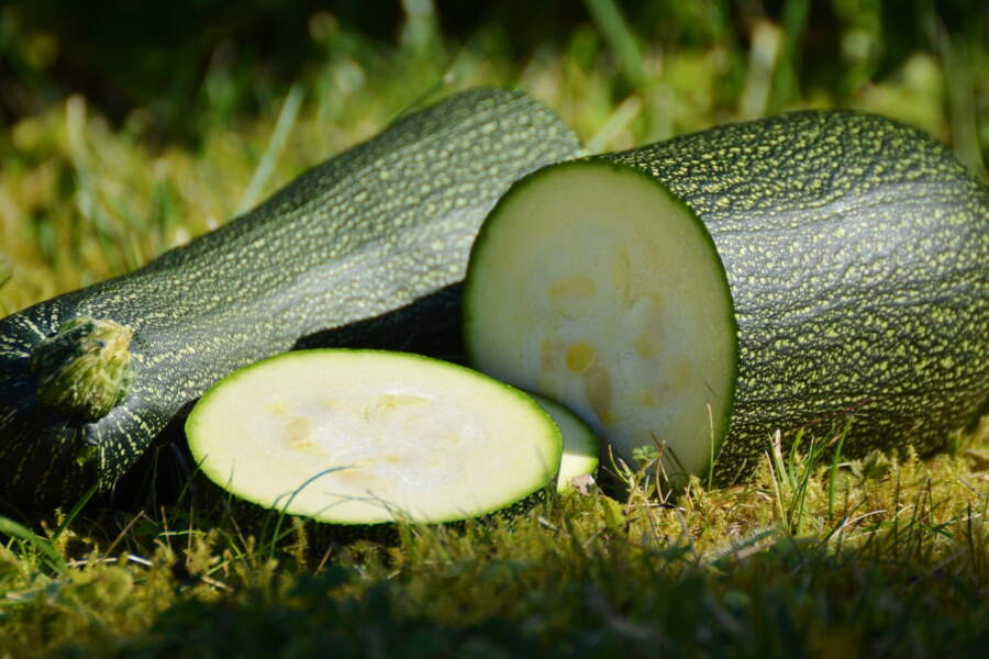 Légumes verts : la liste complète - Femme Actuelle