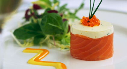 Repas de fête : plus de 100 recettes au saumon : Femme Actuelle Le MAG