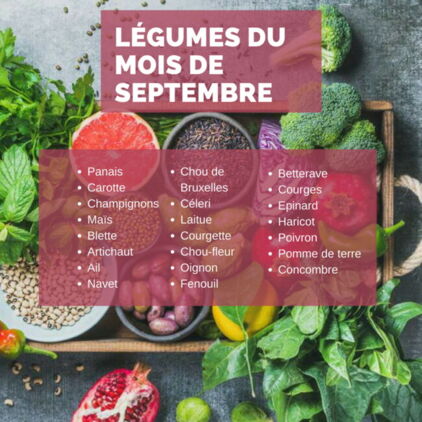 Fruits et légumes de saison : que cuisiner en septembre ? : Femme ...