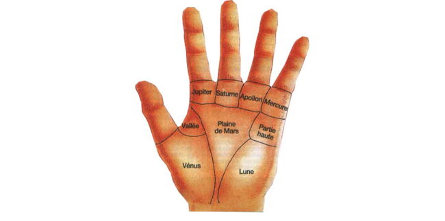 Chance, coeur, vie : découvrez la signification des lignes de la main ...