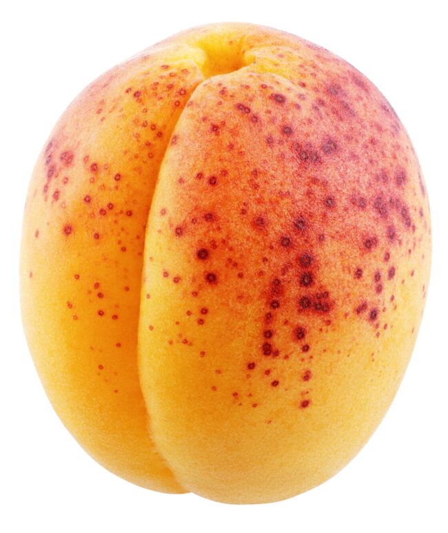 Abricots : 7 variétés à déguster : Femme Actuelle Le MAG