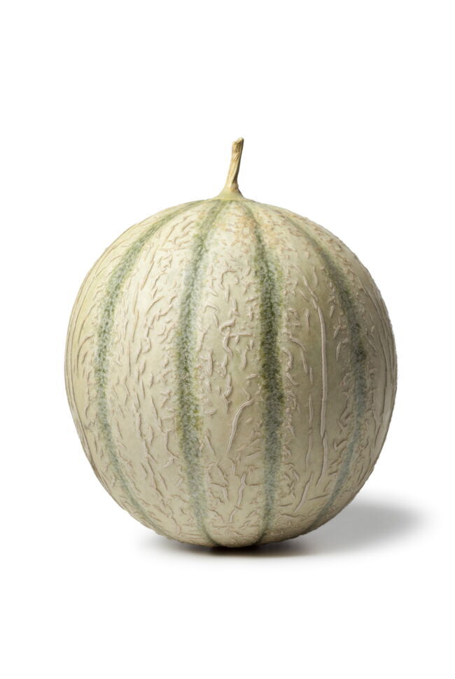 Melon : 7 variétés à déguster l'été : Femme Actuelle Le MAG