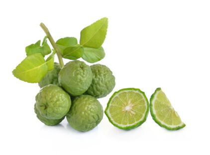 7 variétés de citron pour faire le plein de vitamines : Femme Actuelle ...