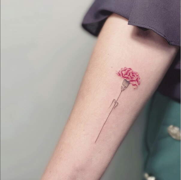 97 Tatouage Oeillet Rose Tatouage Web