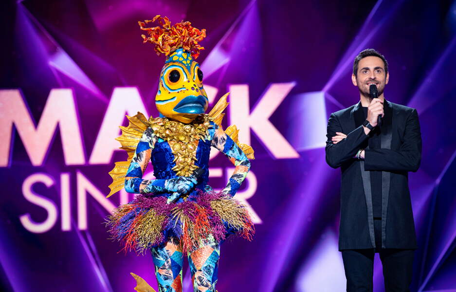 "Mask Singer" 2022 : Tigresse, Cosmonaute, Banane... voici les costumes ...