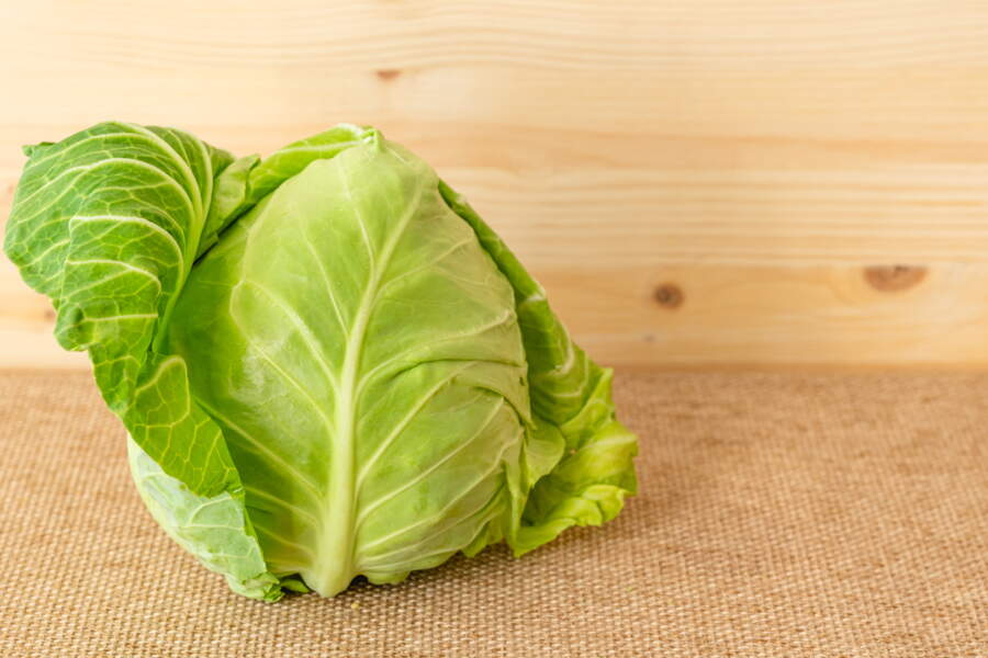 Chou vert : ses bienfaits et 10 recettes légères et gourmandes - Femme ...