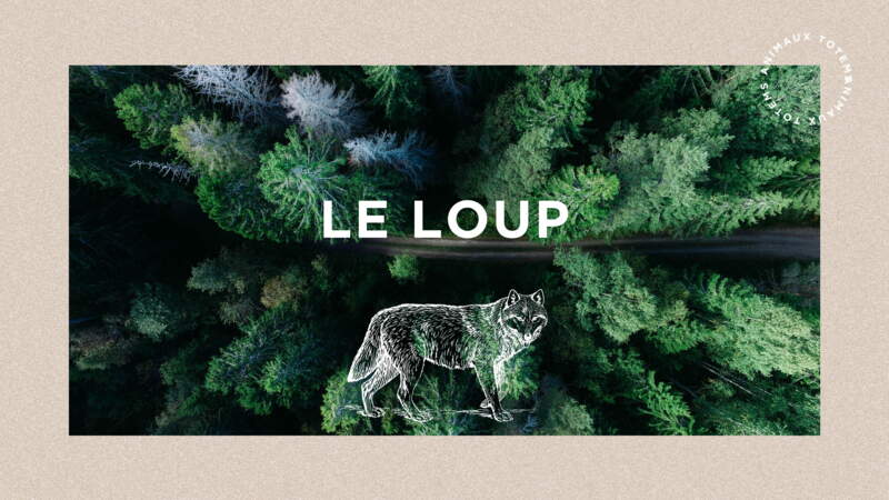 Quels sont les animaux totems ? Découvrez leur signification - Femme Actuelle