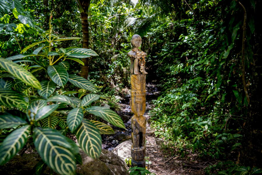 "Koh Lanta, la tribu maudite" (2024) : voici les portraits des 24 ...